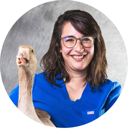 DoveLewis Rotating Veterinary Internships | DoveLewis